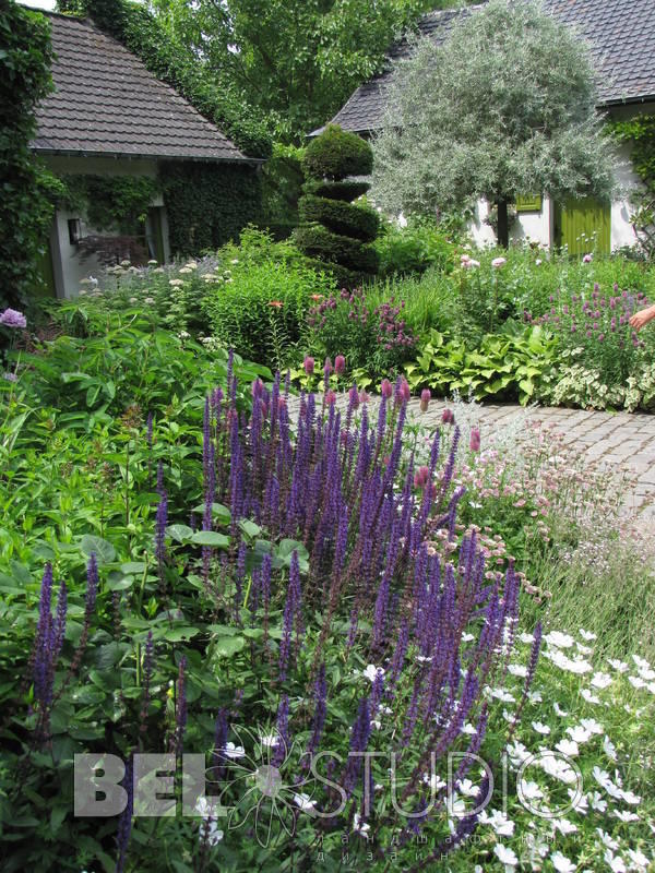 Сад Дины Деферме Tuin van Dina Deferme (Бельгия) Сад Дины Деферме Tuin van Dina Deferme (Бельгия)
